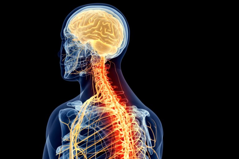 Brain Injuries & Back Pain - Broadview Spine & Health Centre